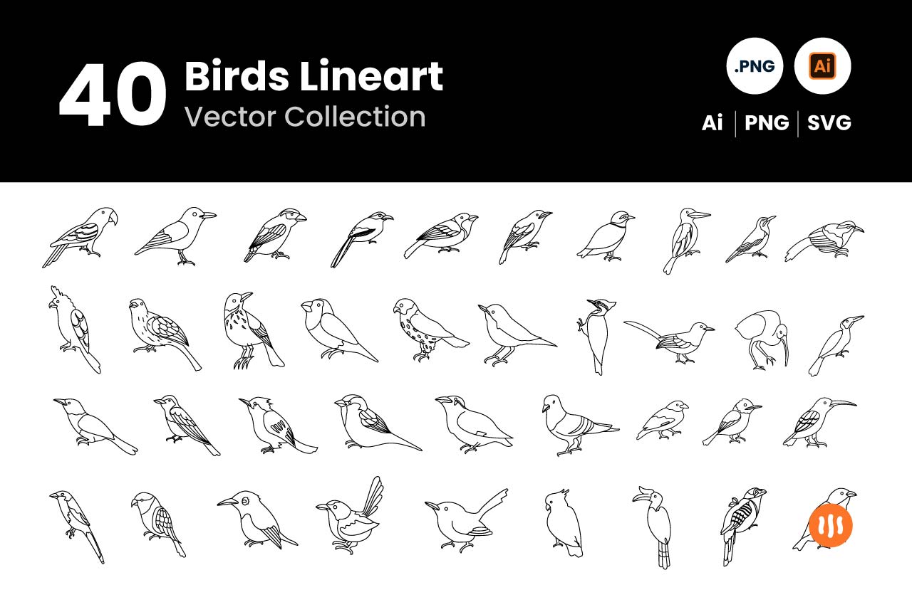 40 Vector Birds Lineart Version - Git Aset